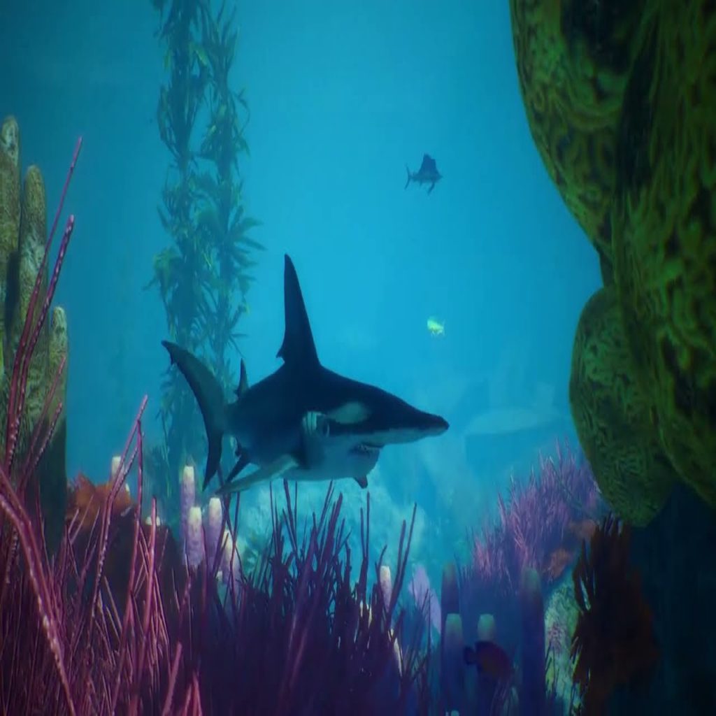 Details On The Upcoming Maneater: Truth Quest DLC Revealed - mxdwn Games